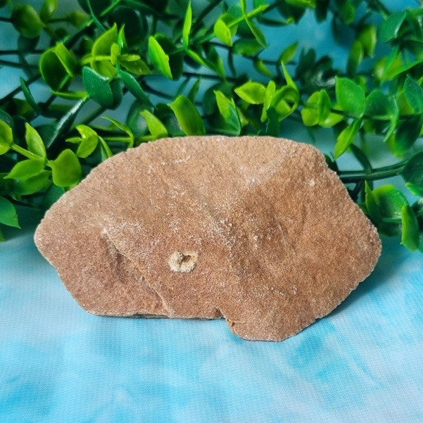 Gypsum (Desert Rose) Blade - (ID: crn60) – Crystal Pathways (Australia)